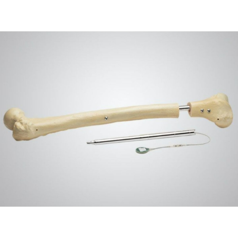 Corpomedica® | Fitbone